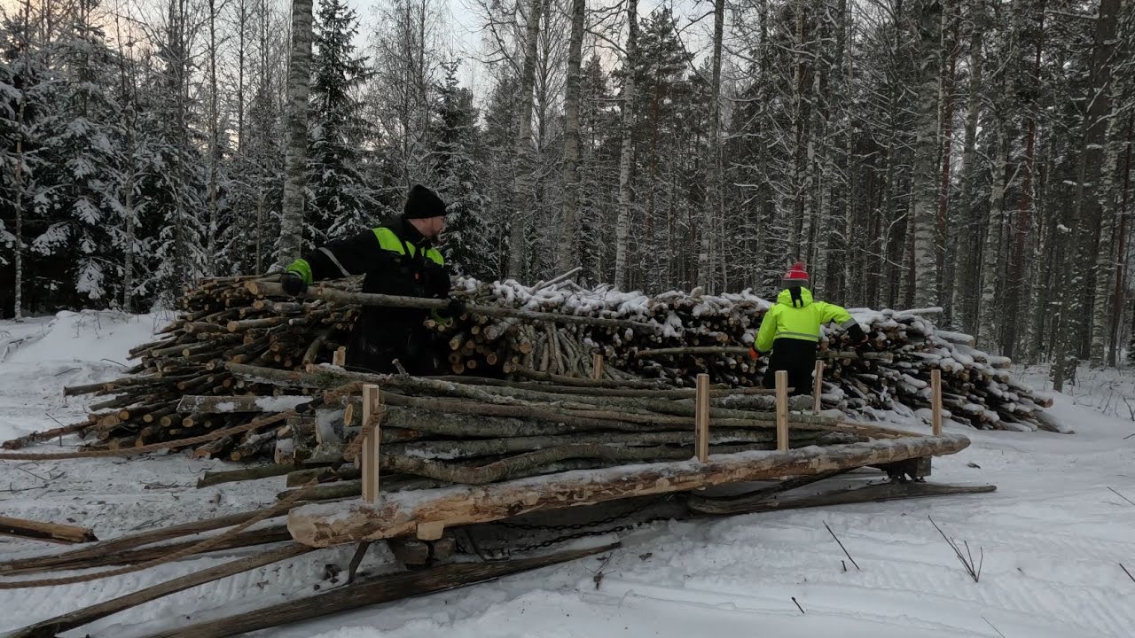 Paukku metsätöissä, Paukku in forest work - YouTube