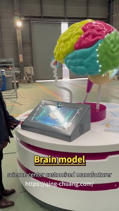 Brain model——Brain Model - Interactive Device in the Science and Technology Museum - YouTube