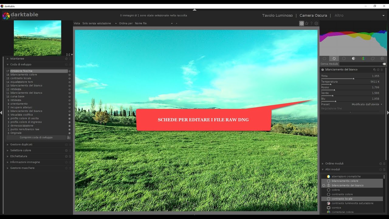 Come aprire e editare le immagini in formato RAW con un plugin di GIMP ...