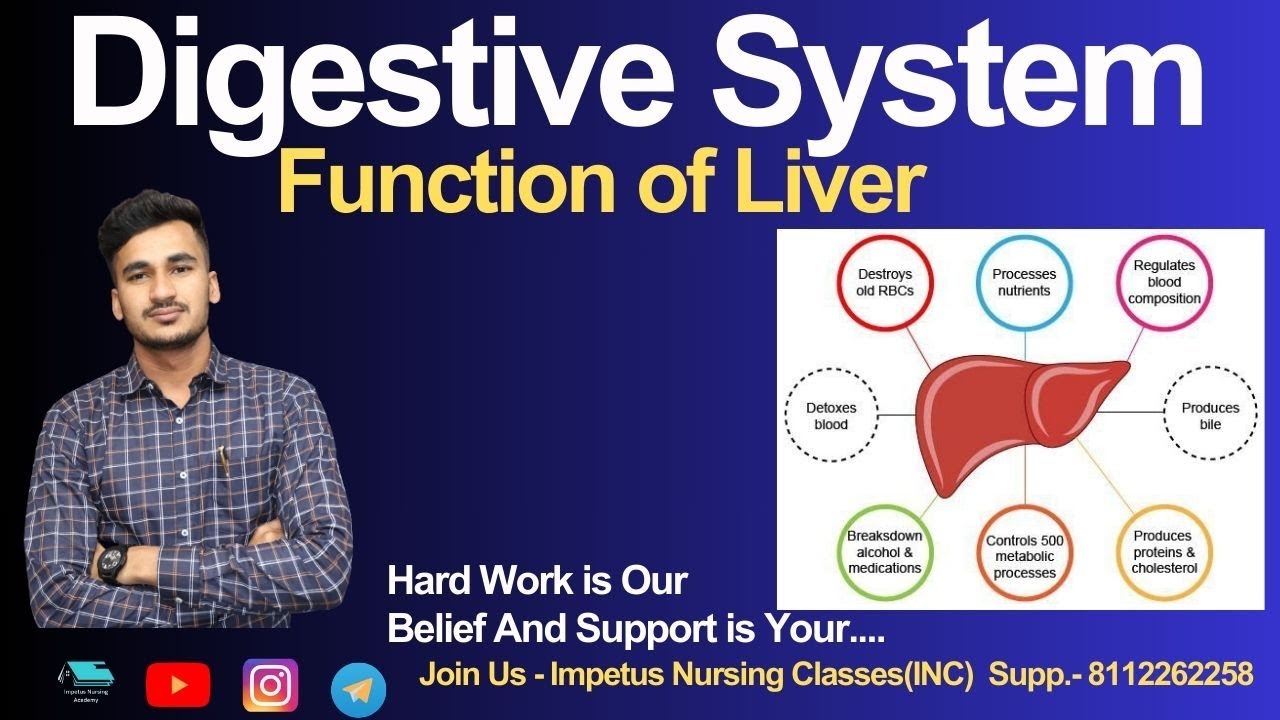 Function of Liver l Anatomy & Physiology l Function of Liver in Hindi l GIT System l By Vikash ...