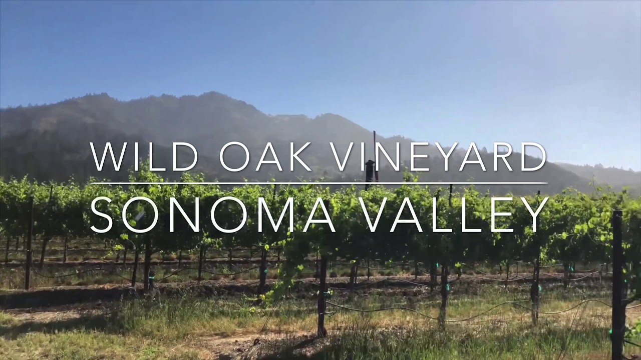 Vertical Shoot Positioning - YouTube