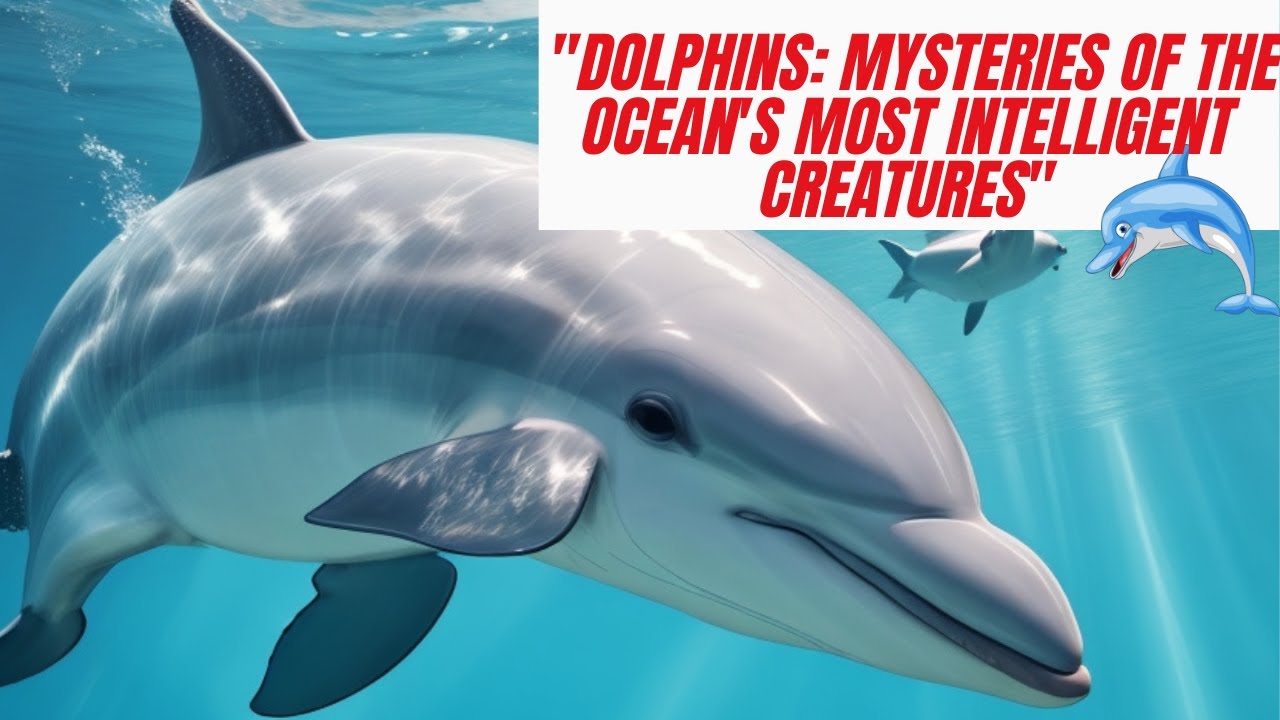 "Dolphins: Mysteries of the Ocean's Most Intelligent Creatures" - YouTube