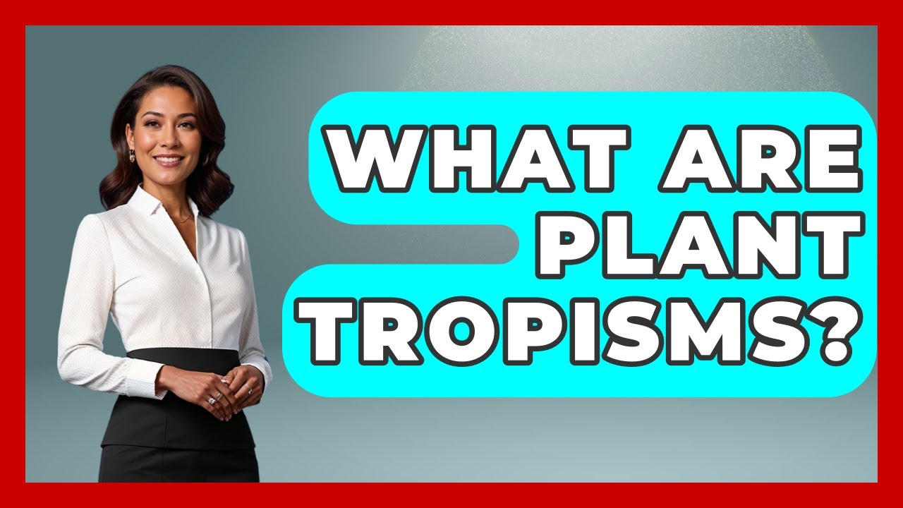 What Are Plant Tropisms? - The Everyday Why - YouTube