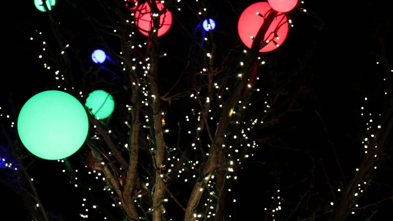RGB Orbs in Trees - YouTube