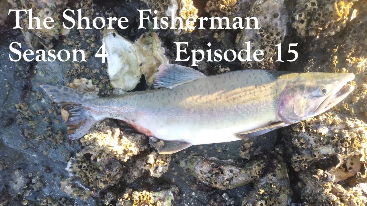 The Shore Fisherman Season 4 Episode 15 - YouTube