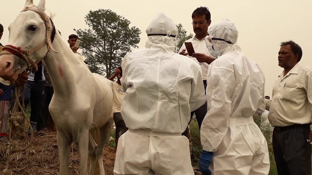 Sajan Baggi Manpur Talib Shaikh(1) - YouTube