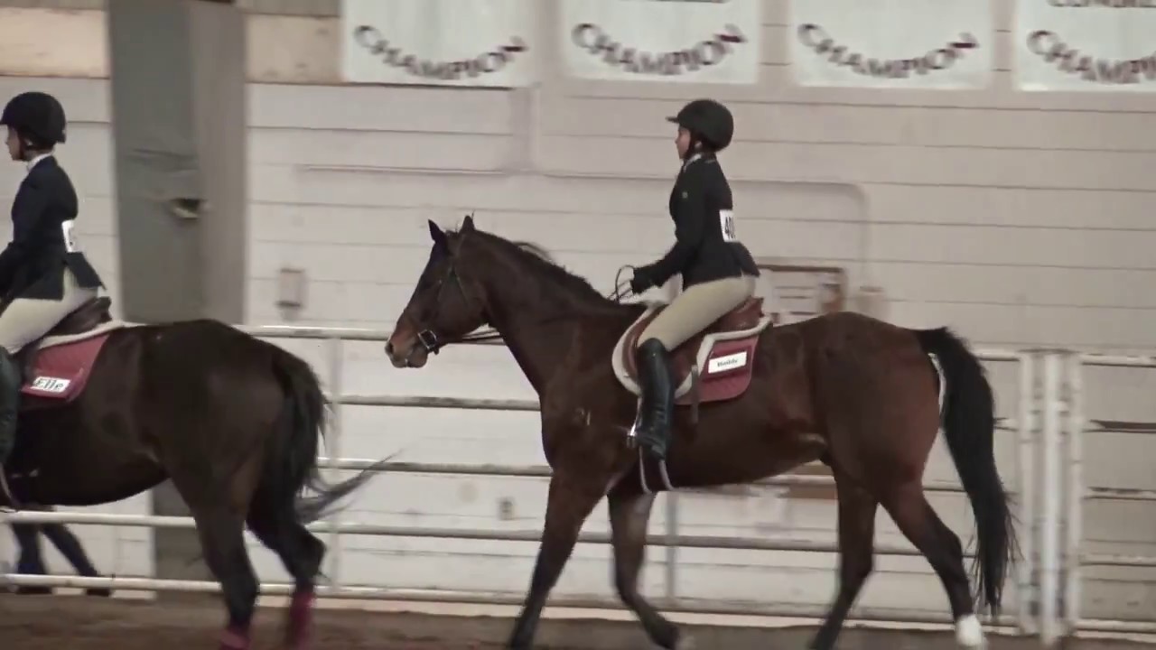 WTAMU'17: Ashley Gilbertson - Novice Flat Day 1 - YouTube