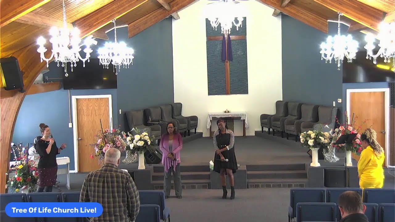TREE OF LIFE CHURCH - YouTube