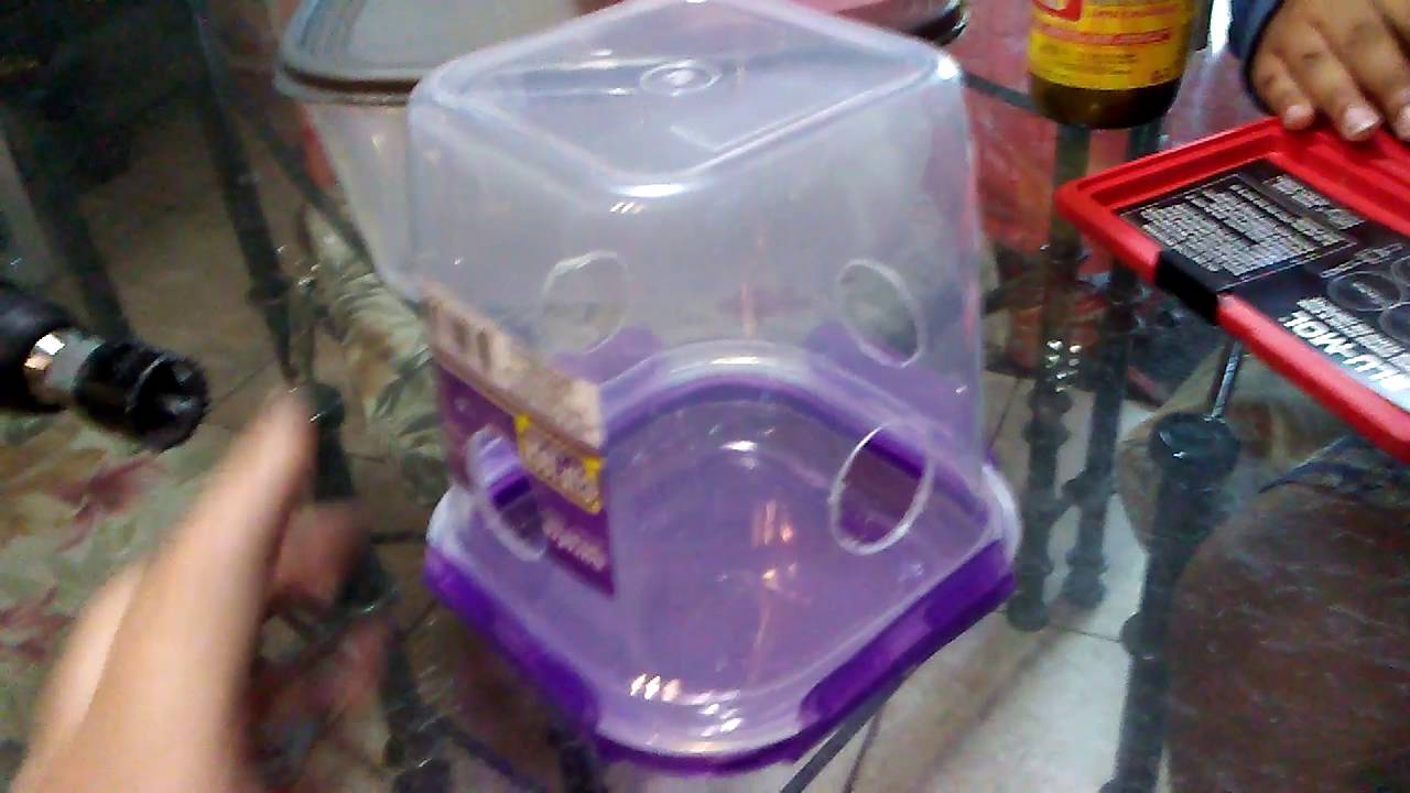 The ULTIMATE QUAIL FEEDER - YouTube