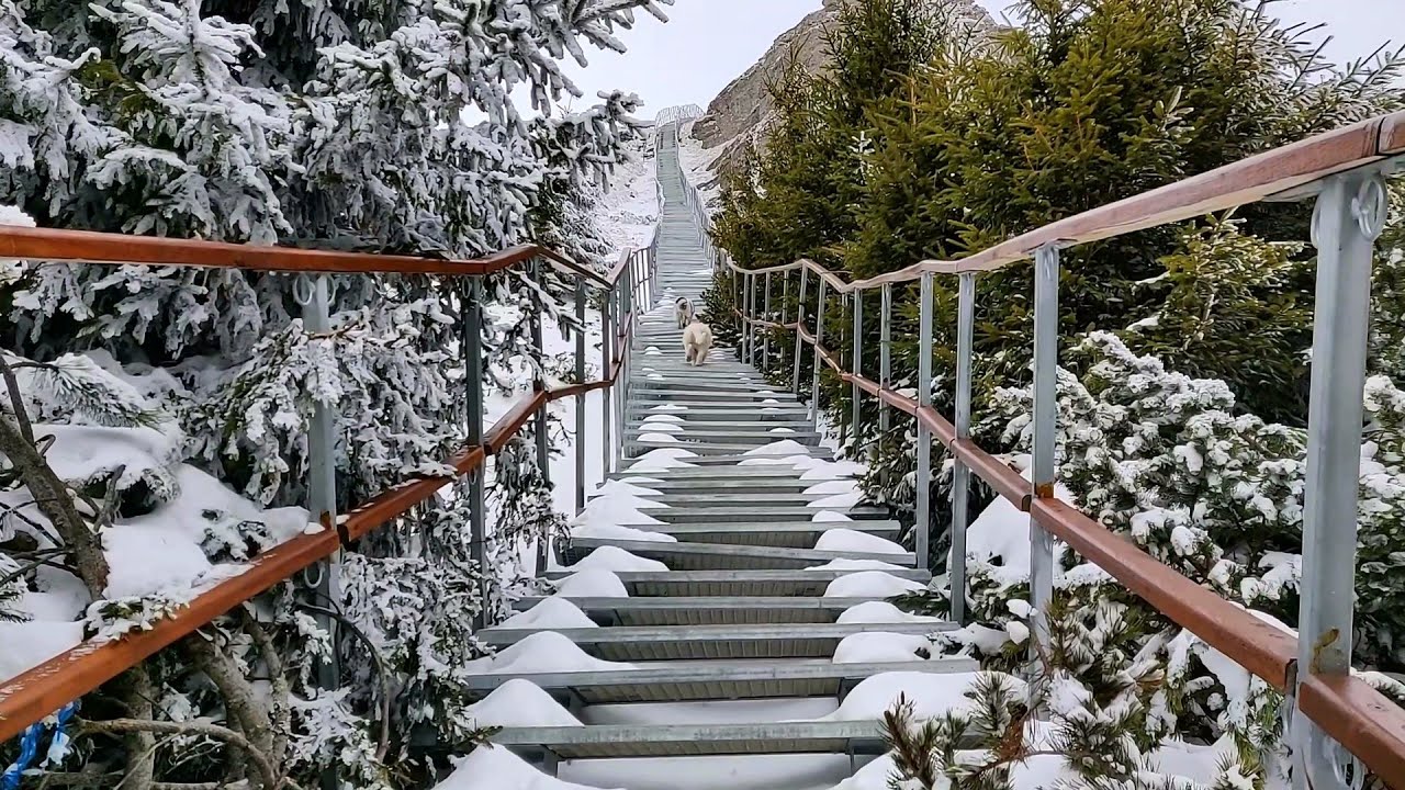 Scara cu peste 500 de trepte care urcă la Vârful Toaca (1904m) din ...