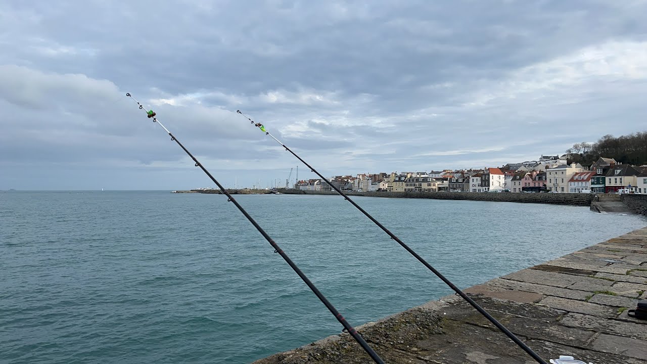 Bass And Gilthead Bream Fishing! - Shore Fishing On Big Spring Tide ...