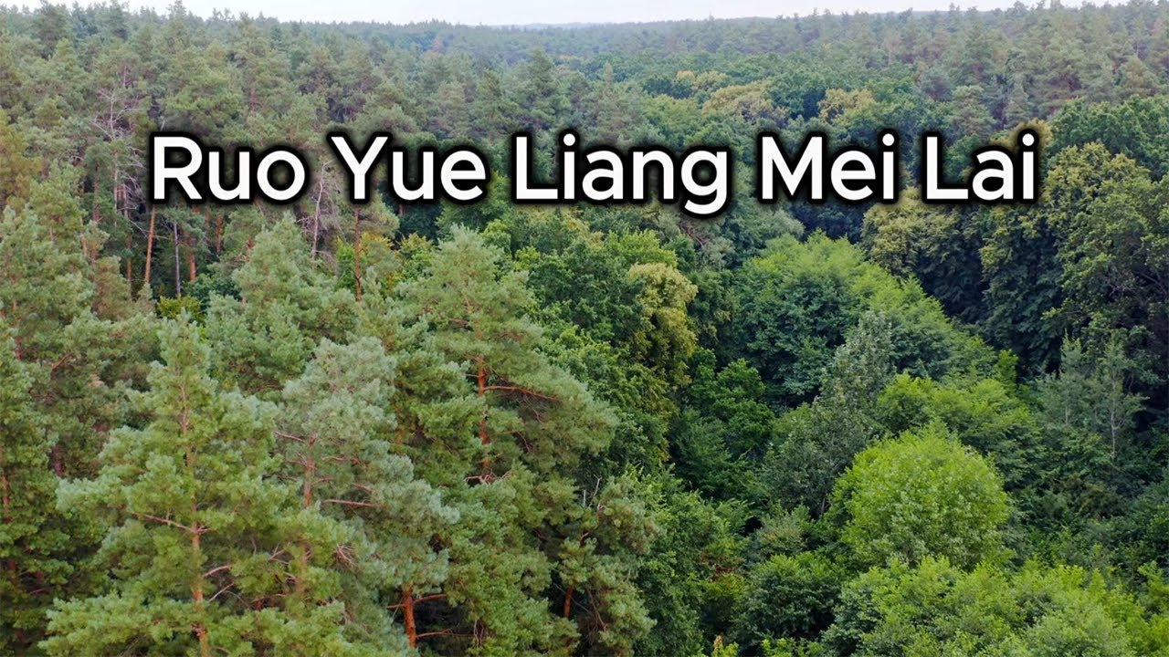 Ruo Yue Liang Mei Lai - YouTube