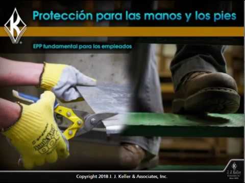 Protección para las Manos y los Pies: EPP Fundamental para los ...