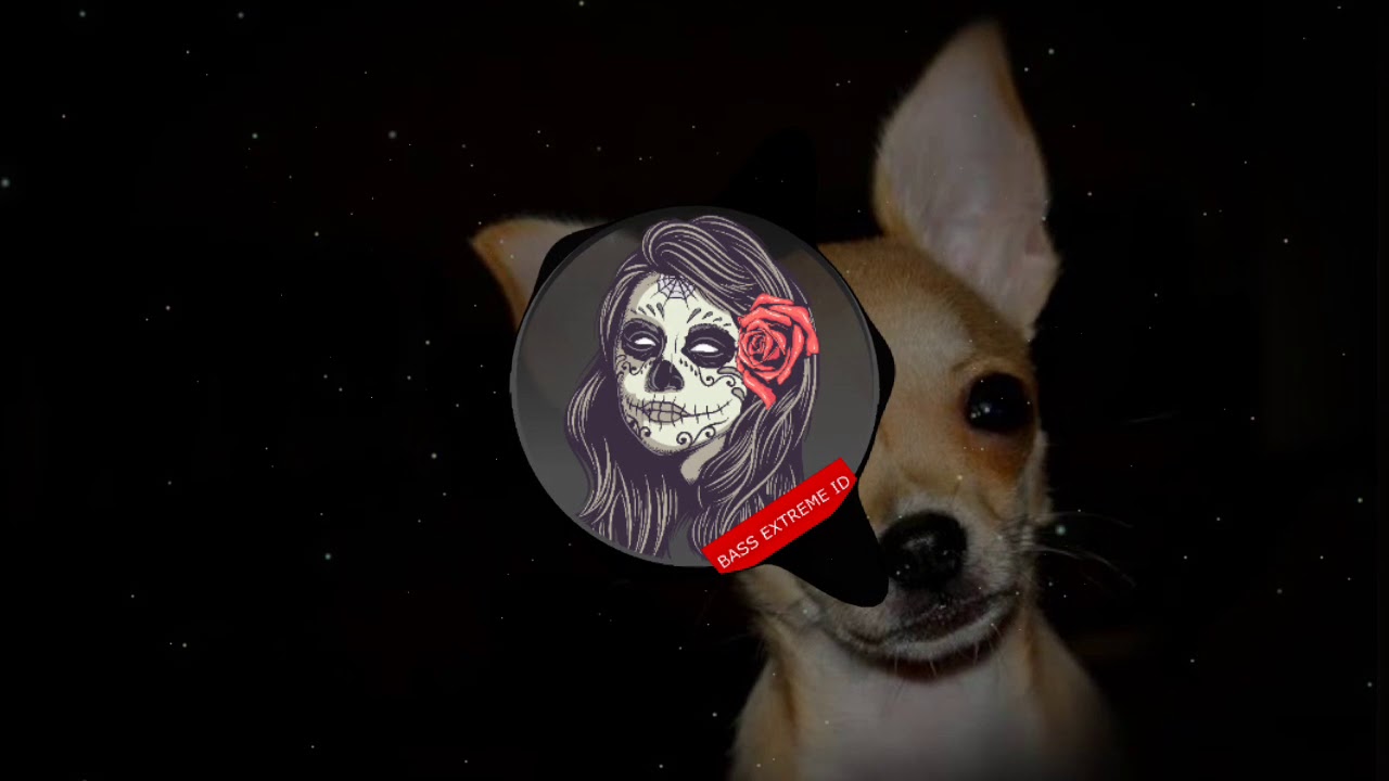 BUAT KAWAN ANJING! - YouTube