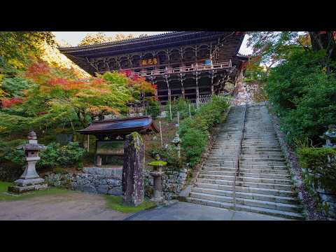 Quiet Morning Walk through Engyoji Mountain Temple | Himeji, Japan 4K