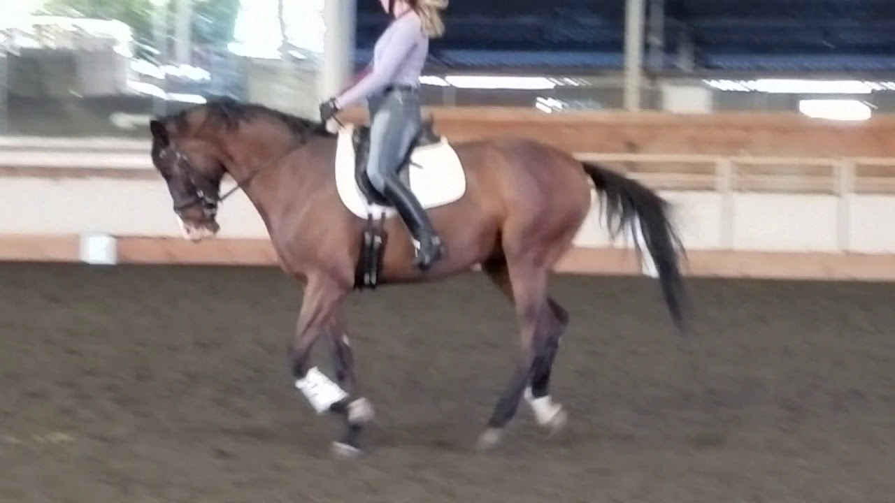 Topline Training- Vicky Poet - YouTube