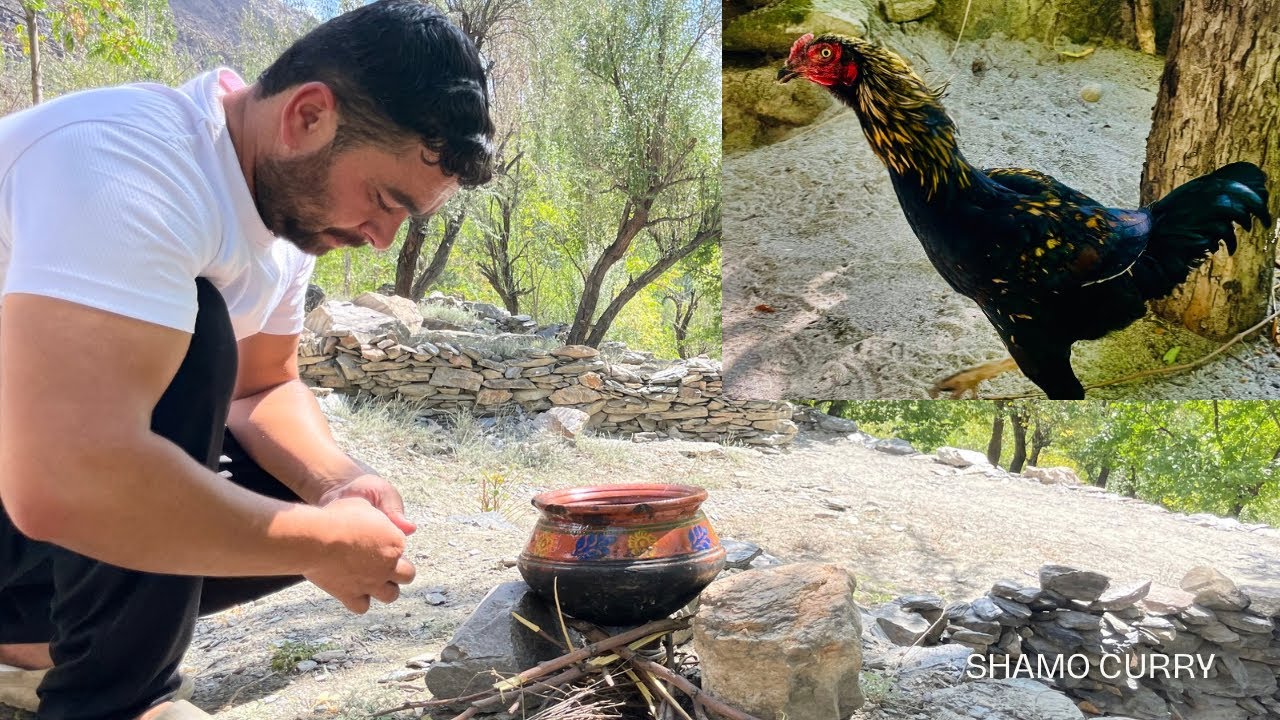 Best SHAMO (rooster) curry recipe, Easy and Delicious | simple and ...