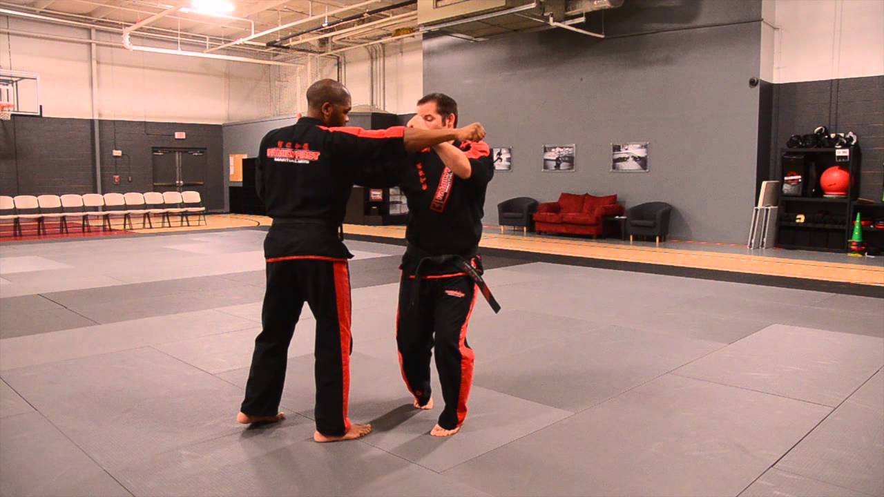 Technique of the Week Goju-Shorei Karate Green #2 - YouTube