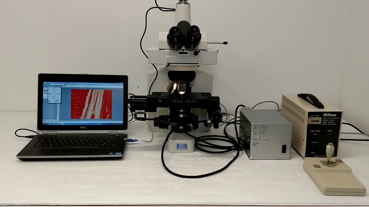 Nikon Eclipse E600 Eclipse Fluorescence Motorized Stage Microscope [BOSTONIND] - 13763 - YouTube