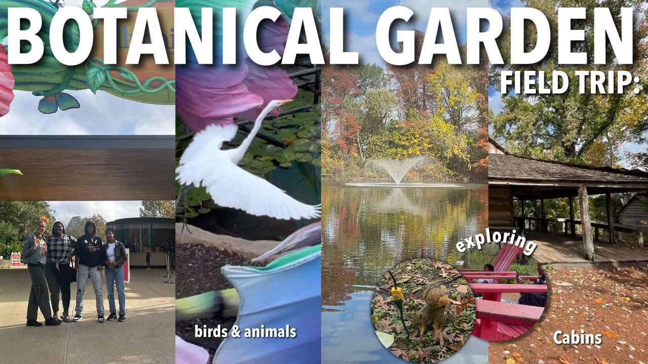 COME WITH US ON A FIELD TRIP: BOTANICAL GARDEN , explore cabins ...