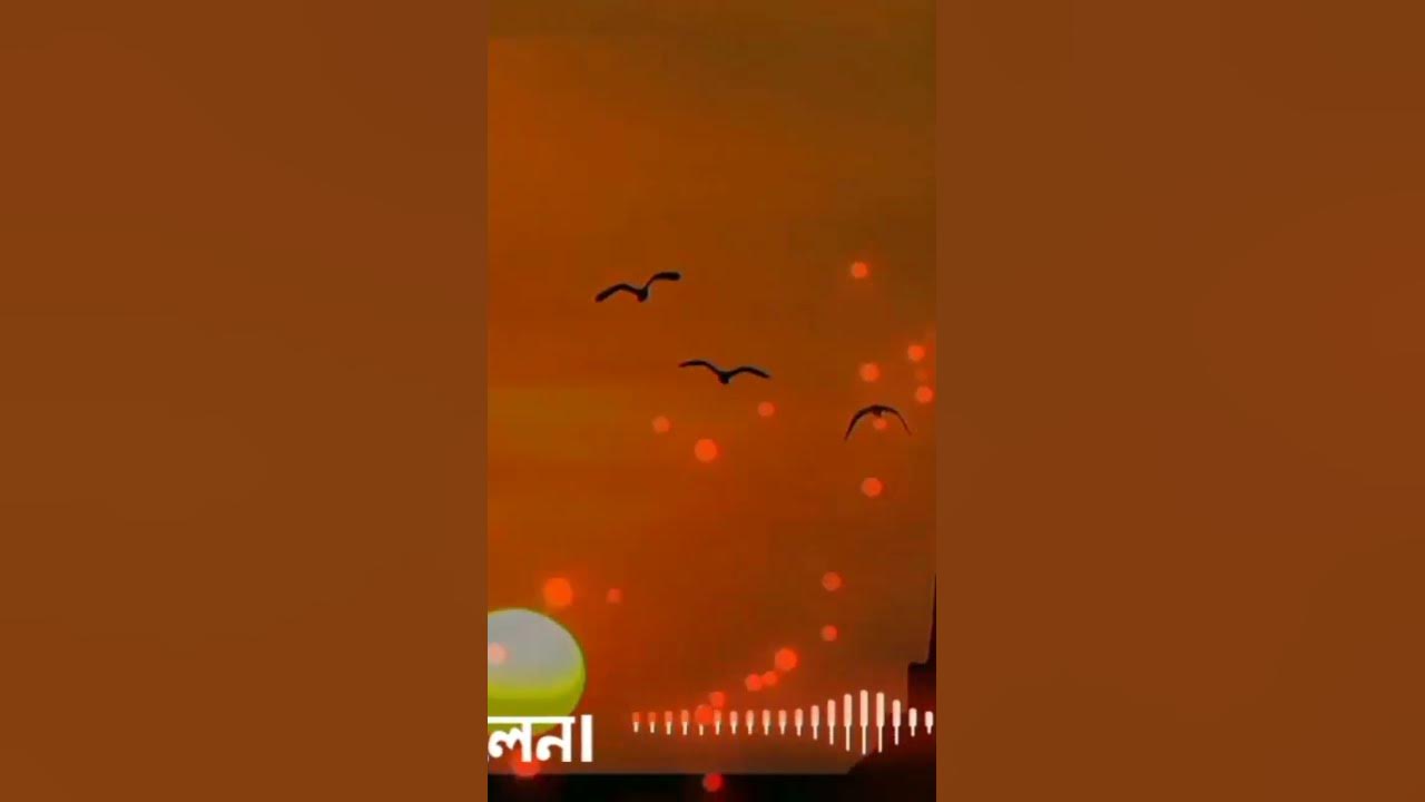 যেভাবে পবিত্র হতেন নবী সঃ Youtube