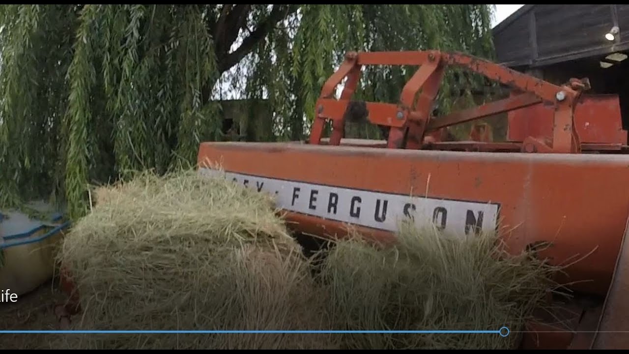 MF#12 Back to Life! - YouTube