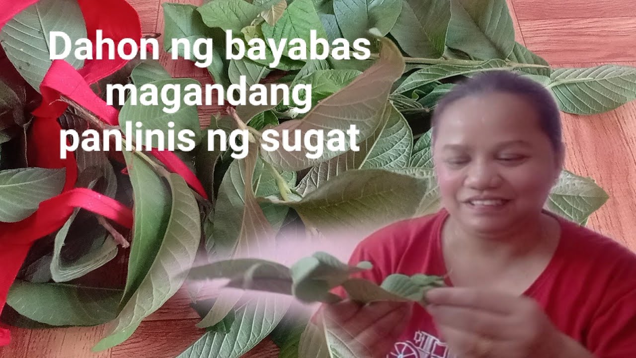DAHON NG BAYABAS MAGANDANG PANLINIS NG SUGAT - adelpha vlog - YouTube