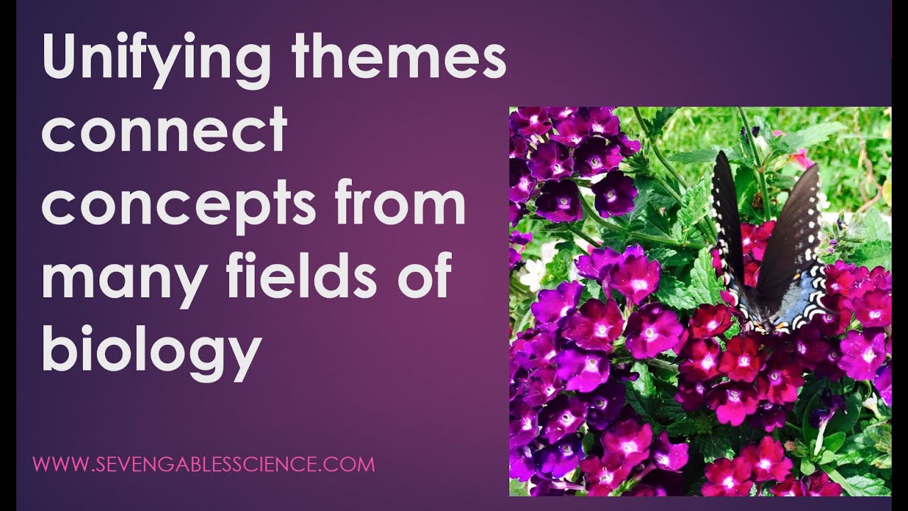 Biology: Unifying Themes Lecture - YouTube