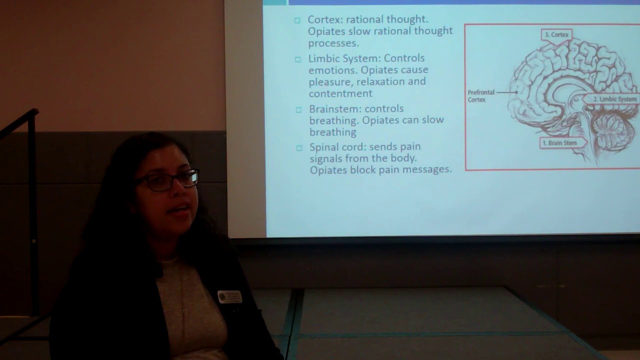 Language and Substance Use Disorder Training - YouTube