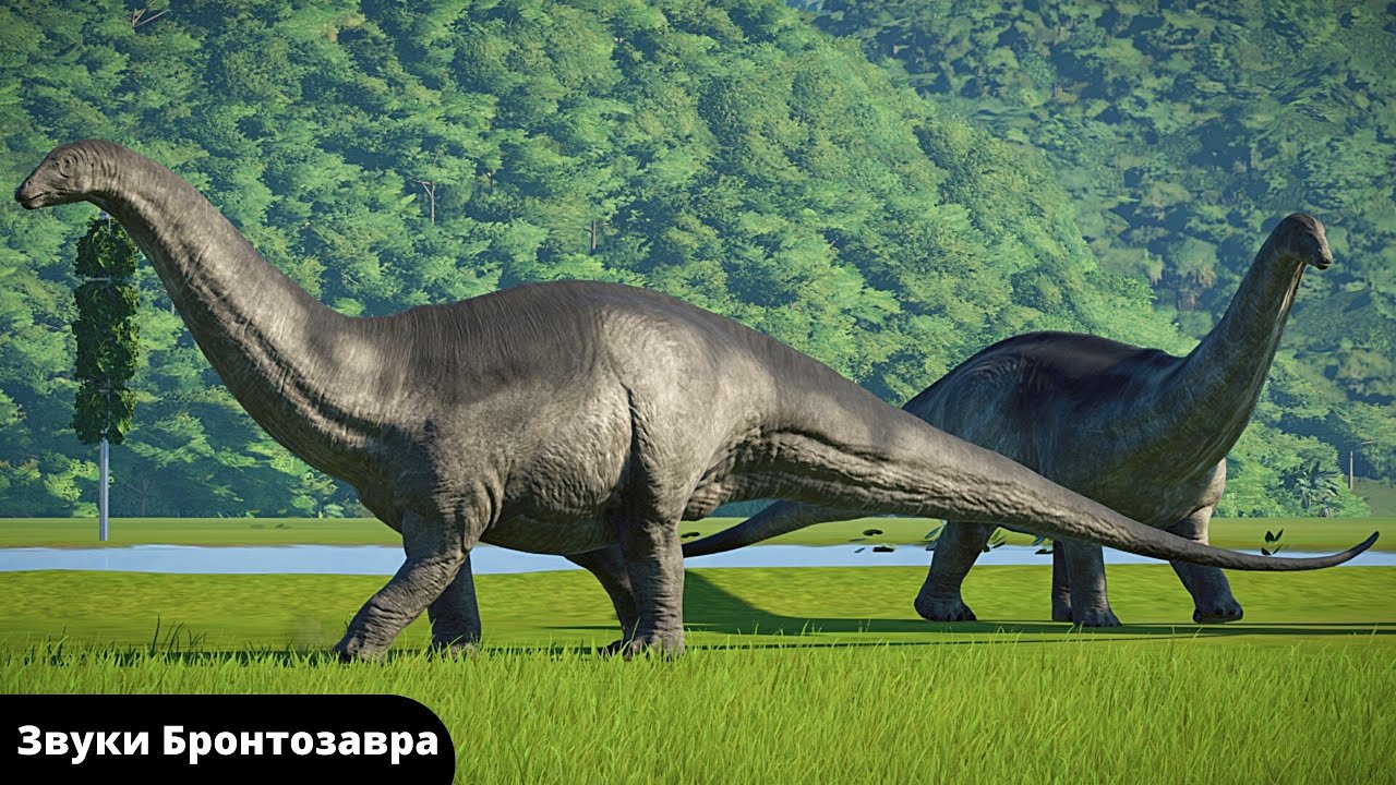 Звуки БРОНТОЗАВРА / Голос Бронтозавра / Brontosaurus Sound Effects ...