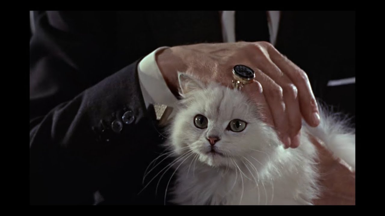 007: Blofeld - Concept Trailer - YouTube