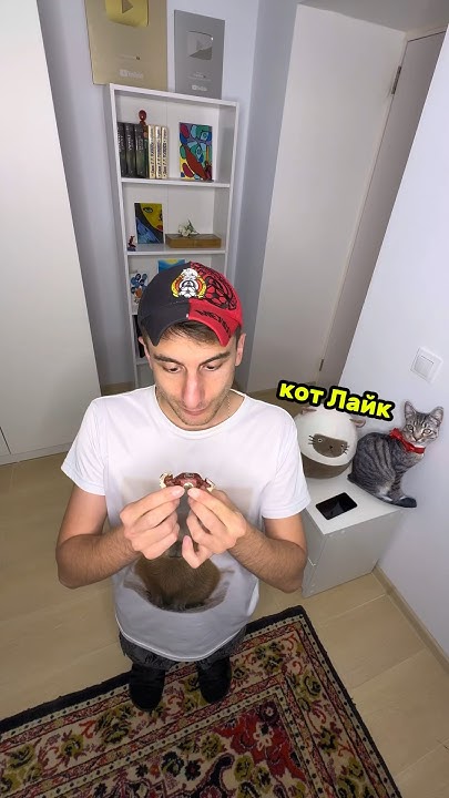 Конфета 🍬 #юмор #рекомендации #приколы - YouTube