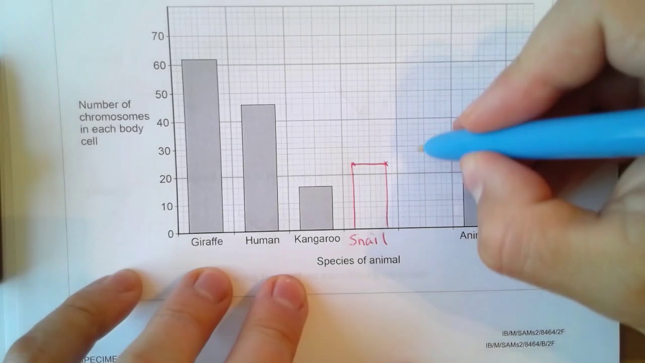 AQA Trilogy Biology Paper 2 Foundation Walkthrough - YouTube