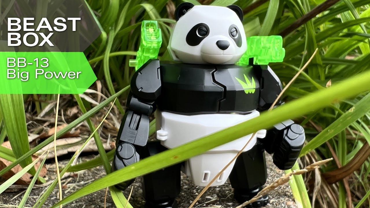 BeastBox BB-18 Big Power Panda Review - YouTube