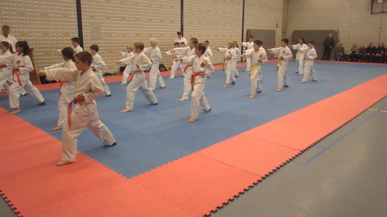 Karate exame`s Sem - YouTube