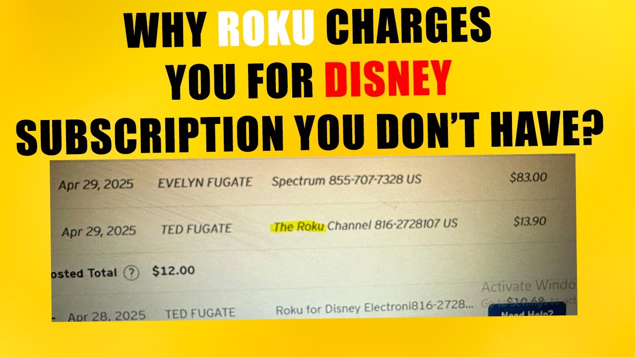 Roku For Disney Electronic Content Inc 816-2728107 Charge On Credit ...