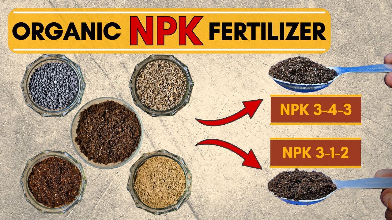 How To Make Organic NPK Fertilizer At Home Best Fertilizer For