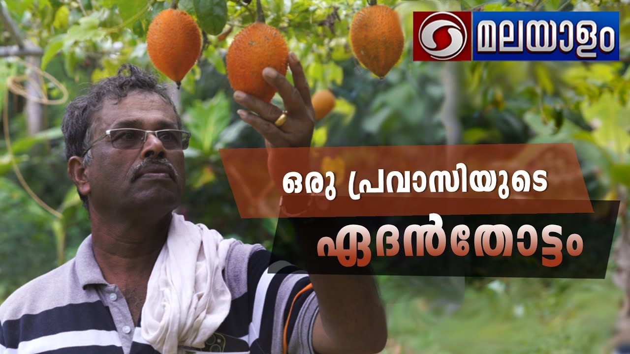 ഒരു പ്രവാസിയുടെ ഏദൻതോട്ടം|PRAVASIYUDE ETHAN THOTTAM - YouTube