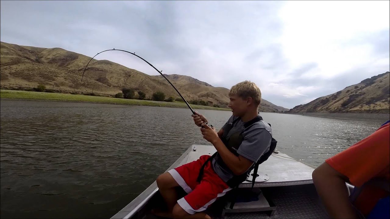 Flathead Catfishing Huntington - YouTube