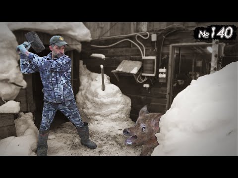 ✅ Забой маникюрной свиноматки