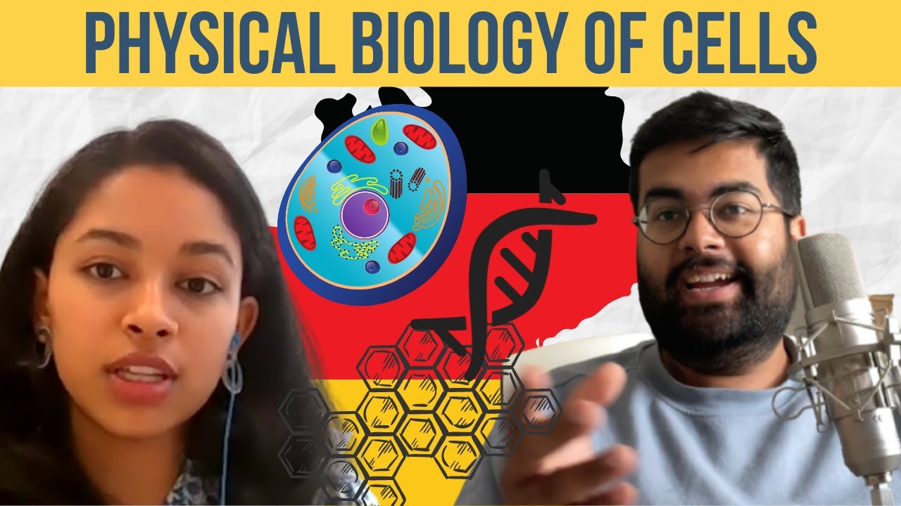 Non Engineering Courses In Germany Physical Biology Of Cells YouTube non-engineering-courses-in-germany-physical-biology-of-cells-youtube