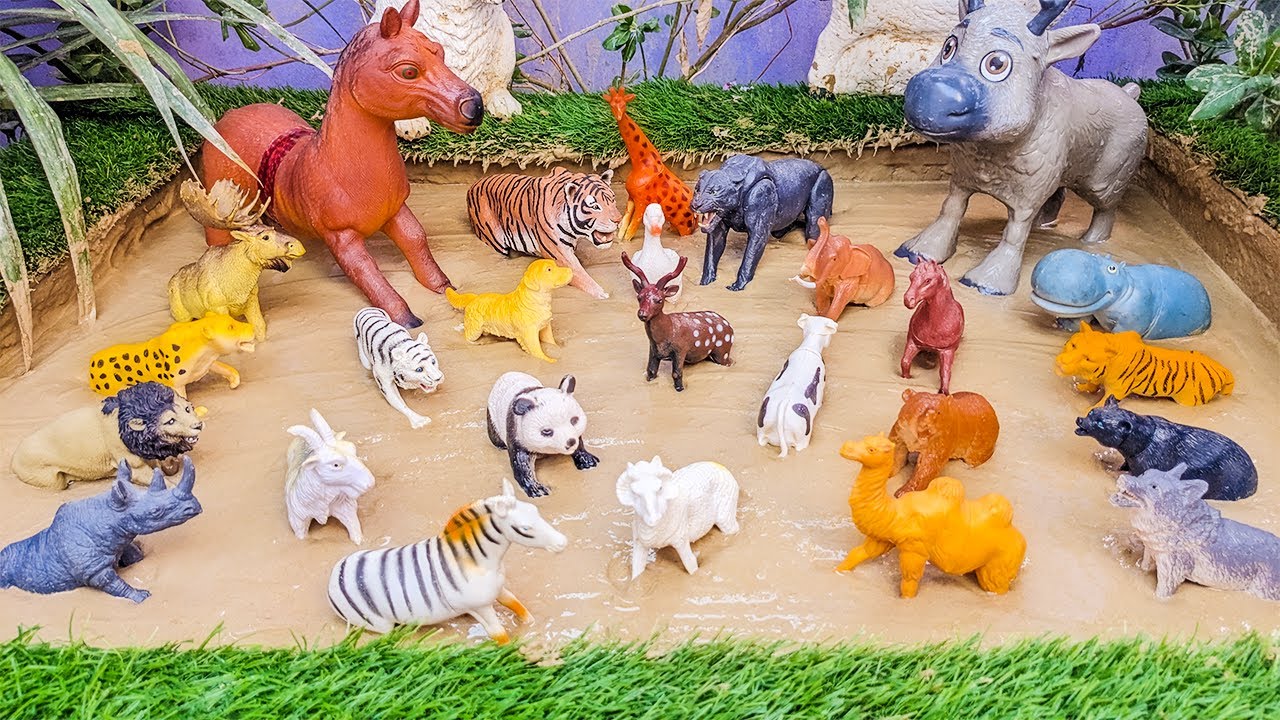 Four Big Wild Animals Stuck in Sandbox Fastest Horse Cutest Zebra ...