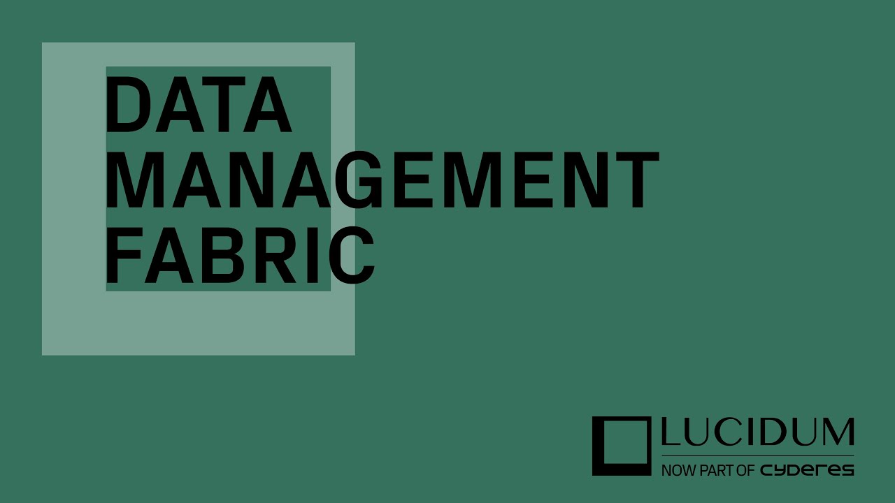 Data Management Security Fabric as Smooth as a Well-Groomed Beard | Lucidum - YouTube