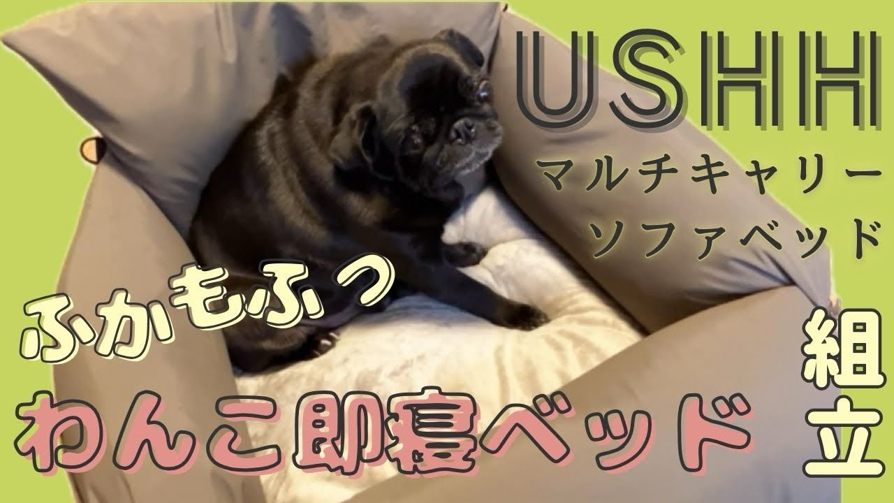 USHH マルチキャリーソファベッド 組立から即寝まで - YouTube
