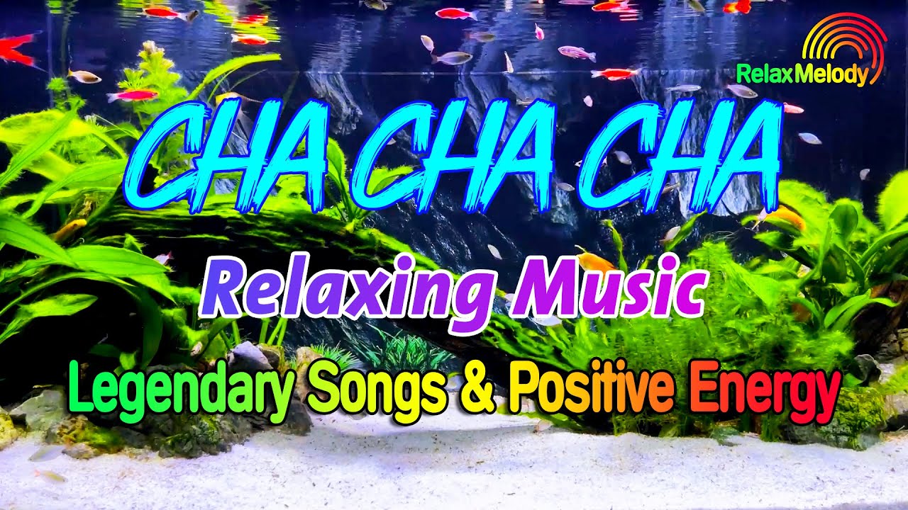 New Latin Cha Cha Cha Relaxing - Legendary Songs & Positive Energy ...