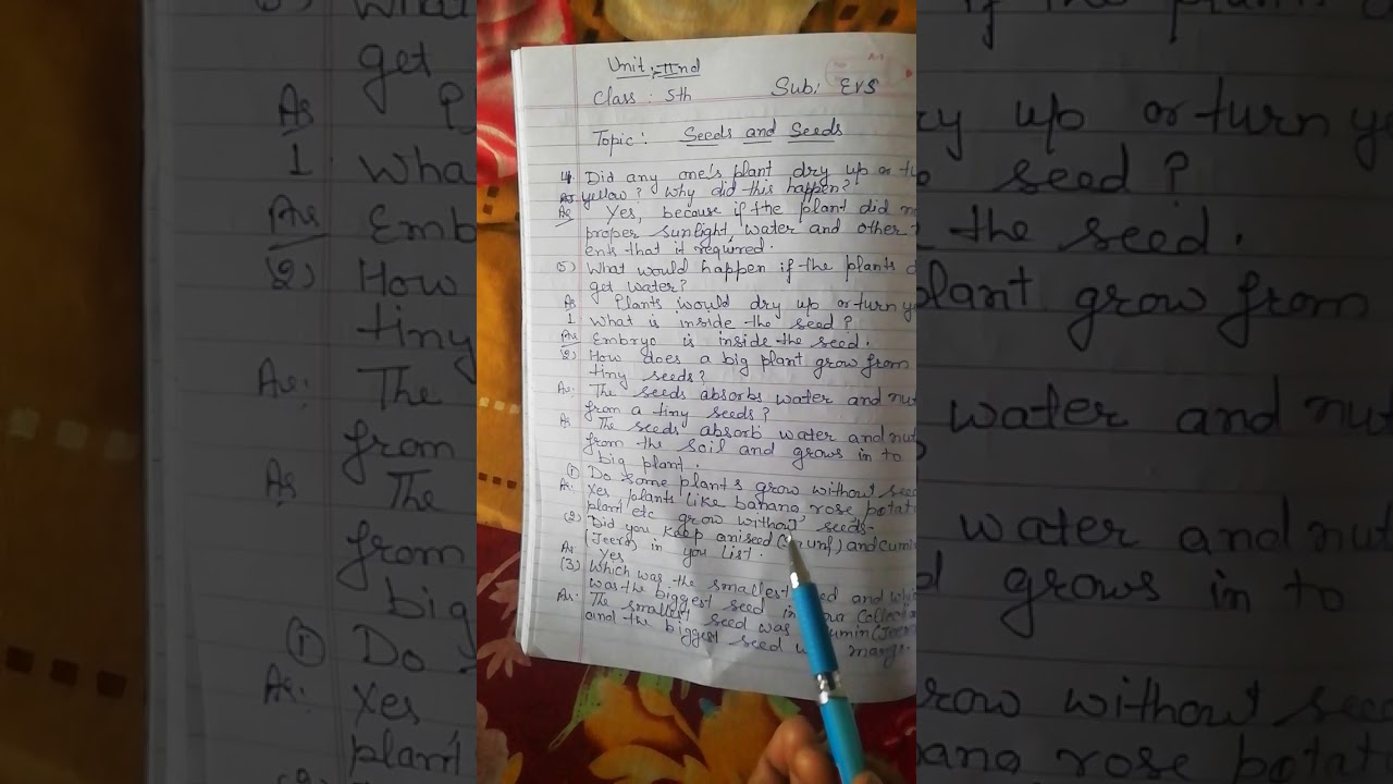 EVS CLASS 5th YouTube evs-class-5th-youtube