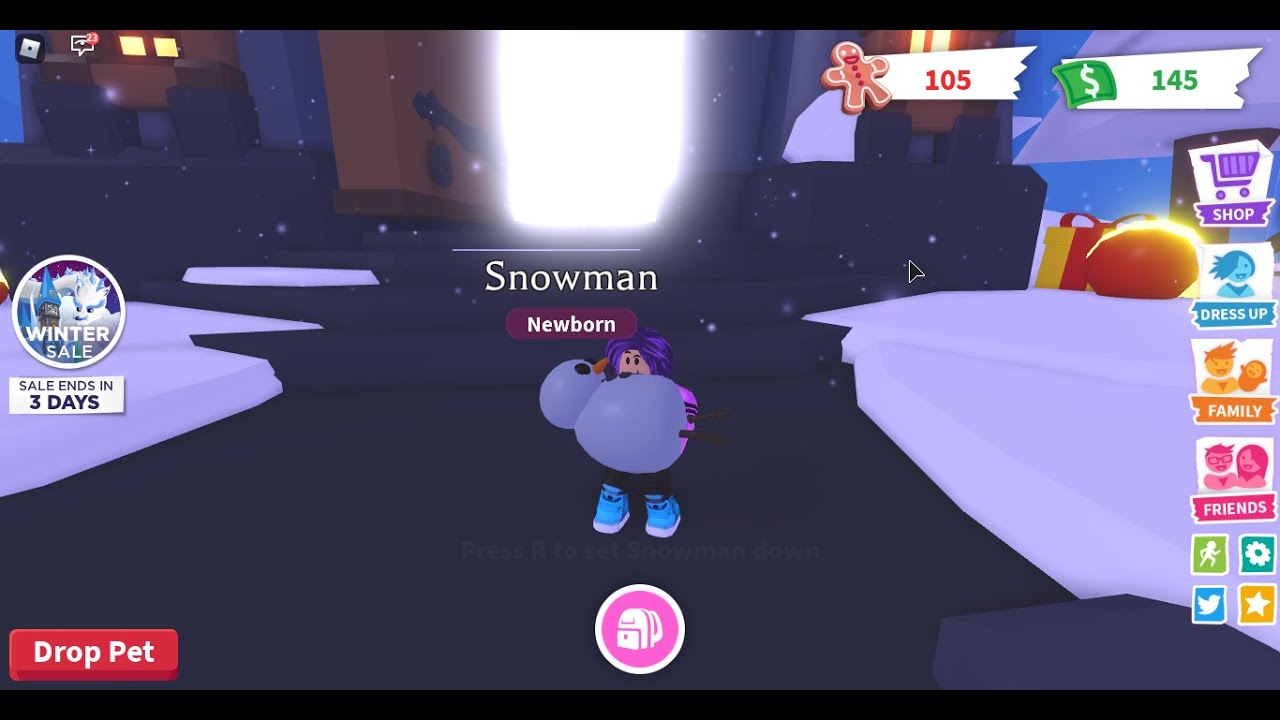 ROBLOX Let's Play Adopt Me Buying The Snowman Pet - YouTube