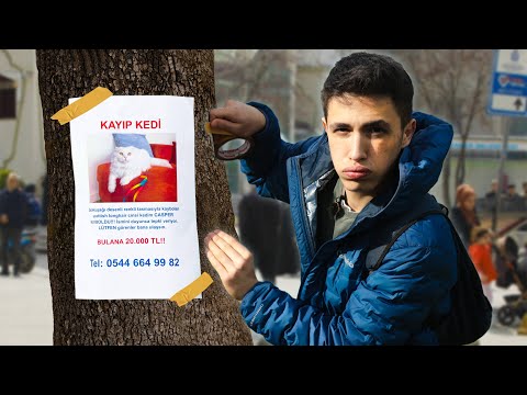 SAHTE KAYIP KEDİ İLANIYLA DOLANDIRICILARI YAKALIYORUZ!