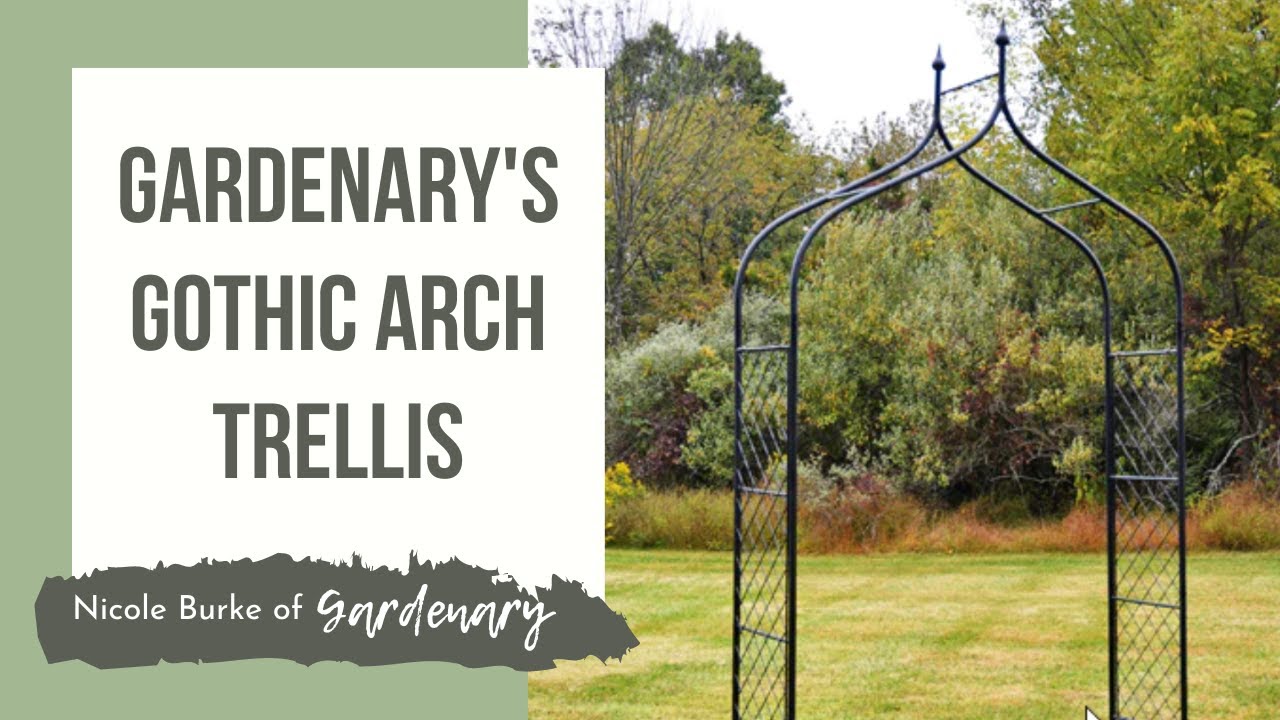 Gardenary's Gothic Arch Trellis - YouTube