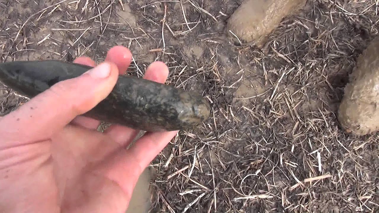 Early March hunt in Ohio. - YouTube